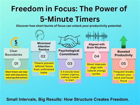 5 Minute Timer — Free Countdown With Alarm