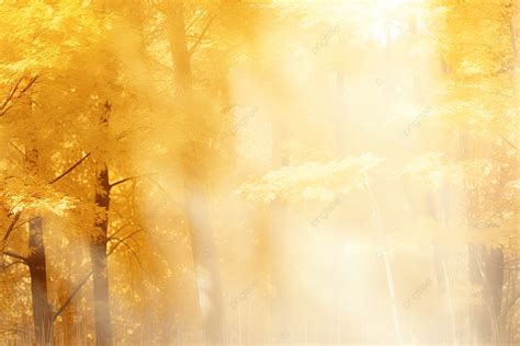 햇빛이 나무 사이로 들어오는 가을 숲 가을 괴산군 나무 배경 일러스트 및 사진 무료 다운로드 Pngtree