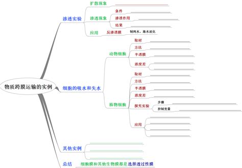 思维导图在高中生物中的应用4 细胞的物质输入和输出 word文档在线阅读与下载 免费文档