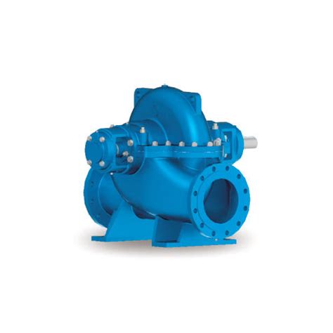 Scw Series Horizontal Split Case Pumps At 450000 00 Inr In Surat Pragna Agency