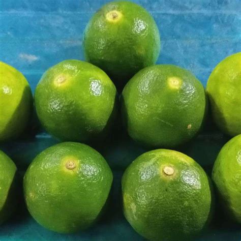 Jual Jeruk Nipis Segar 1 Kg Termurah Harga Grosir Terupdate Hari Ini Blibli