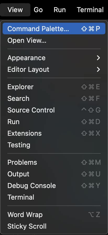 vscode flutter extension 및 추가 설정