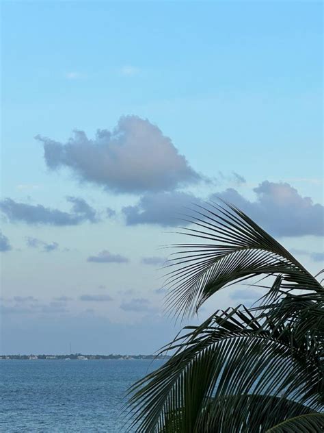 Cloudy With A Chance Of Faces On Tumblr