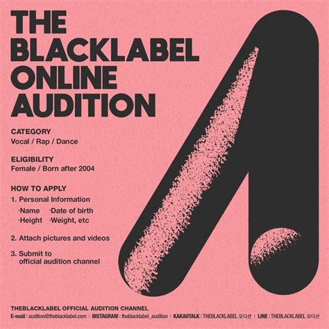 테디 걸그룹 직접 제작온라인 오디션 개최 연예 기사 더팩트