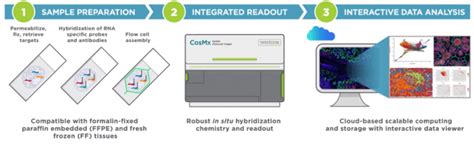 Choosing Single Cell And Spatial Analysis Technologies