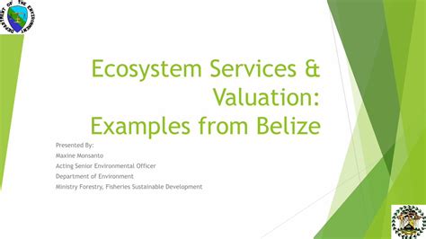 Pdf Ecosystem Services And Valuation Examples From Belize Dokumentips