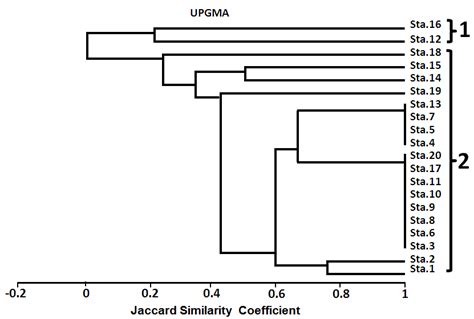 Upgma Dendrogram Of Sampling Stations And From Lake Bafa Based On