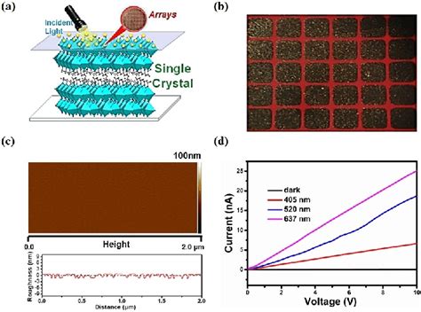 a schematic diagram and b photo for the planar array electrode