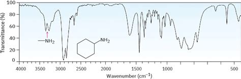 1310 Infrared Spectra Of Some Common Functional Groups Chemistry