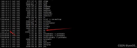 【玄机】第二章日志分析 redis应急响应 csdn博客