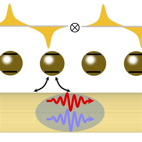 Schematic Illustration Of The Photon Pairs Propagating Along A Download Scientific Diagram