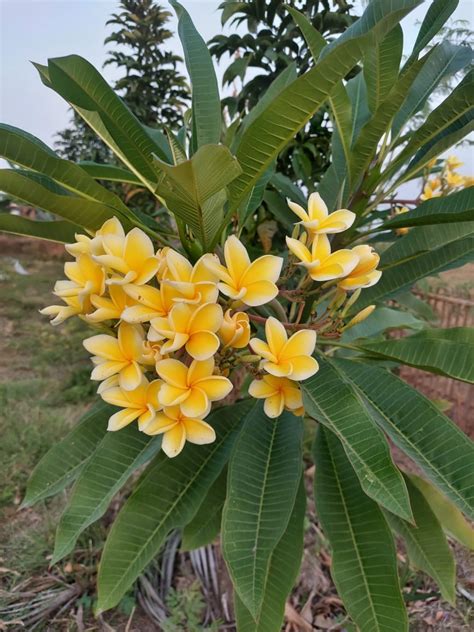 While Scrolling Through Instagram I Have Come Across This Quote