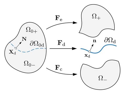 discontinuous kinematics representing the reference and current