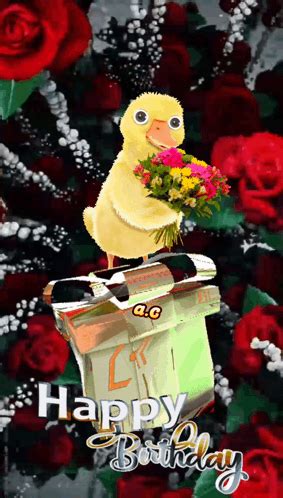 Happy Birthday Meme Happy Birthday Discover And Share S