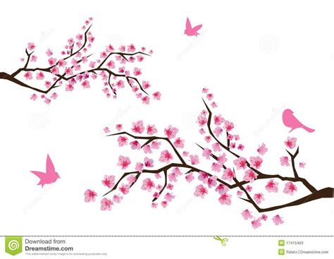 How To Draw A Cherry Blossom Tree Branch