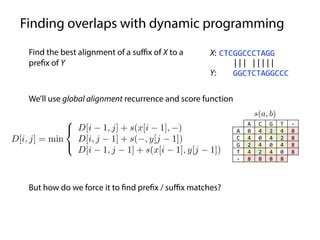 Overlap Layout Consensus Assembly PDF Programming Languages Computing