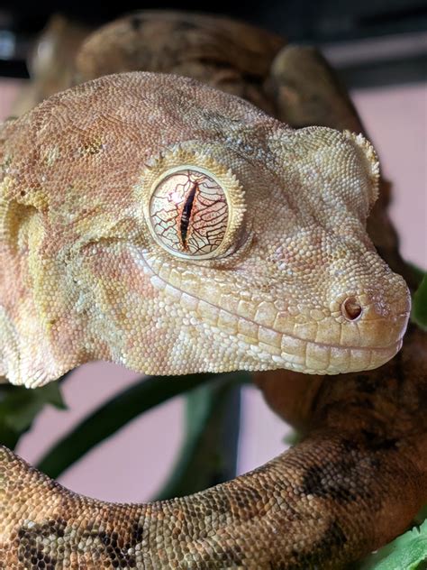 Fish N Fins Fish N Fins Added A New Photo