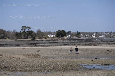 P Che Pied Sur La Plage Du Cap Coz