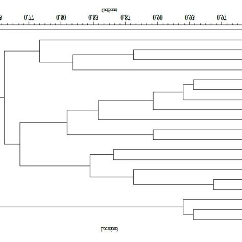 dendrogram generated from ssr profile data depicting relationship among