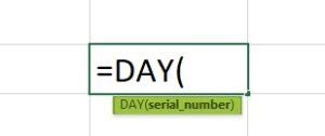 DAY Excel Function Formula Examples How To Use