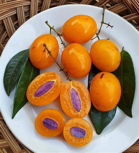Find Out The Benefits Of Bouea Macrophylla Fruit As A Health Supplement