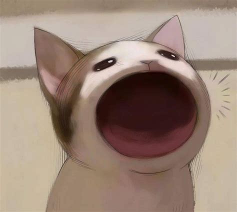 每次看到这只阿巴阿巴猫，就会不由自主滴对自己啵啵popo
