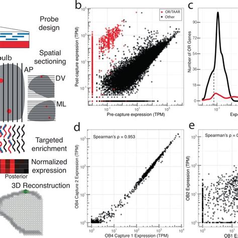Target Capture Sequencing Consistently Enriches Or Transcripts A