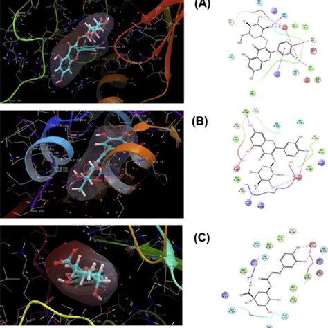 2d And 3d Interaction Diagrams Of Berberine A And Caffeic Acid B In