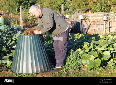 Man Placing Vegetable Matter Into A Compost Bin To Make Compost For His Garden Stock Photo Alamy