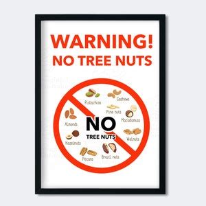 Tree Nut Allergy Warning Poster Health Alert Sheet Teacher Babe Daycare Food Anaphylaxis