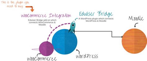 Reasons WooCommerce Is The Best To Sell Moodle Courses