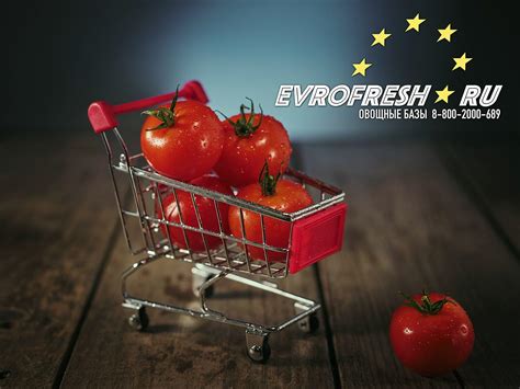 Оптовые овощные базы