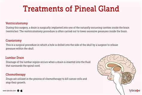 Pineal Gland