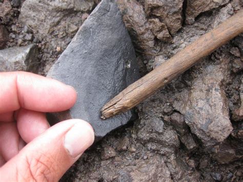 Ice Patch Archaeology