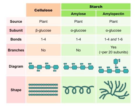 Cses Exam 1 Units 1 4 Flashcards Quizlet