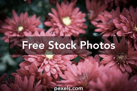 Kieslich Krzysztof Photos Download The Best Free Kieslich Krzysztof