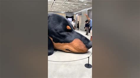 A Giant Sleeping Dachshund Statue In Seoul Dogart Sausagedog Youtube