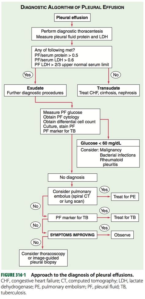 Pleural Effusion Algorithm