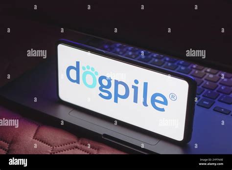 Dogpile Homepage Dog Pile Nlfr