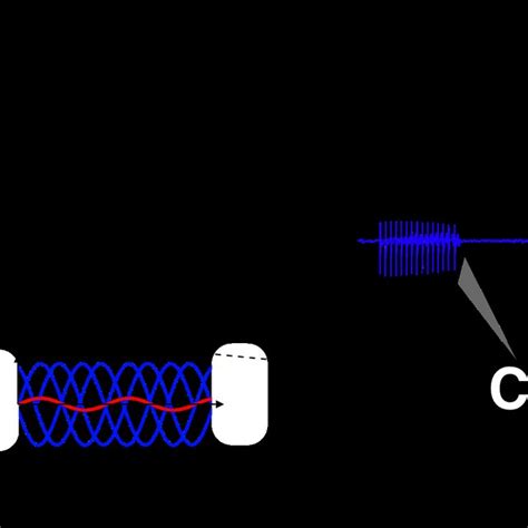 Details Of The Proposed Phase Oscillator Network Model A Each