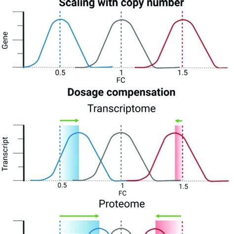 Gene Dosage Compensation On Transcriptome And Proteome Level Monosomy Download Scientific