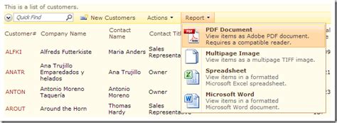 Code On Time Data Controllers Views Create Custom Report Template