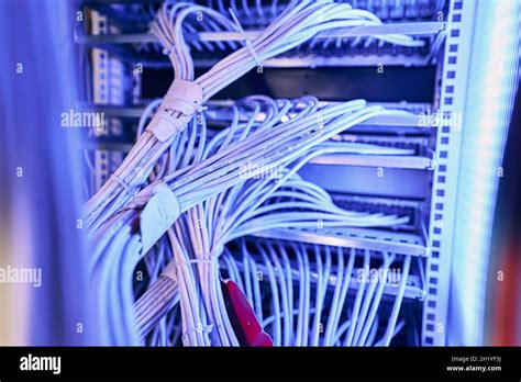 Structured Data Cabling