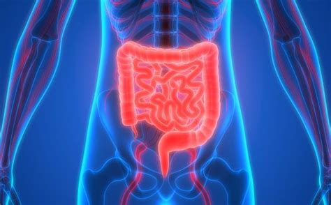 Bubble Guts Causes And How To Get Rid Of It Naturally