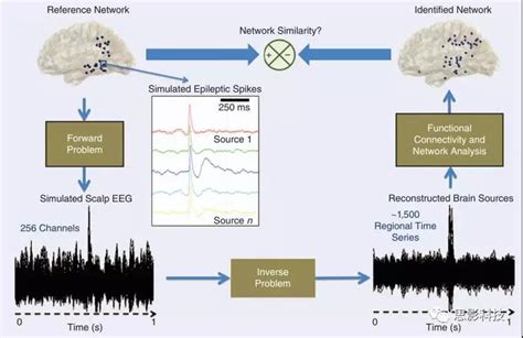 Eeg源连通性：旨在实现大脑网络在时间和空间上的高分辨率 知乎