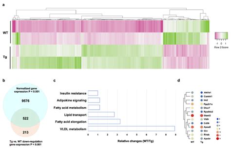 whole genome microarray analysis of transcriptomic profiles of