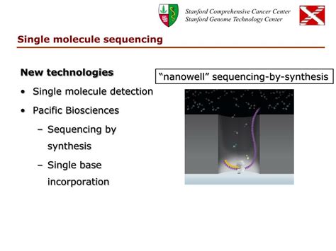 Ppt An Introduction To Next Generation Sequencing Powerpoint