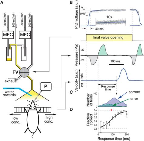 Novel Behavioral Paradigm Reveals Lower Temporal Limits On Mouse Olfactory Decisions Journal