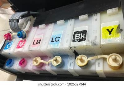 Man Doing Change Color Printer Stock Photo Shutterstock