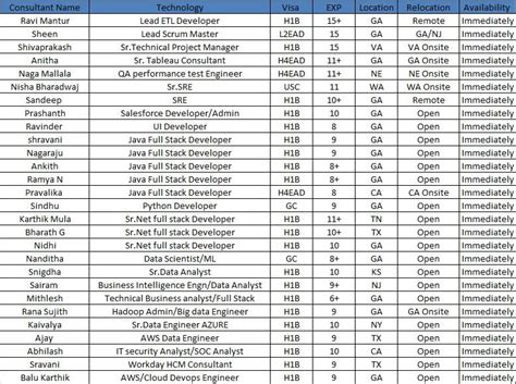 Dotnetdeveloper Dataanalyst Itsecurityanalyst Java Javafullstack